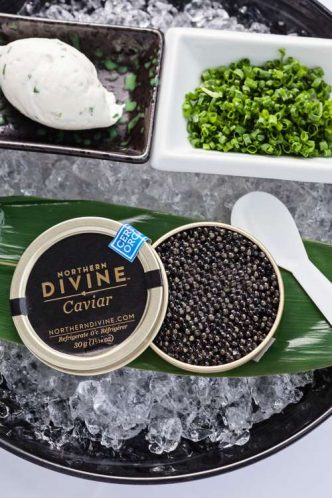 Caviar – The Jewels Of The Sea – Laura Goldstein: Professional Writer